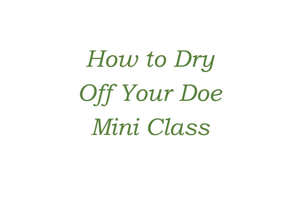 How to Dry Off Your Doe - Mini Class - Land of Havilah Learning Center