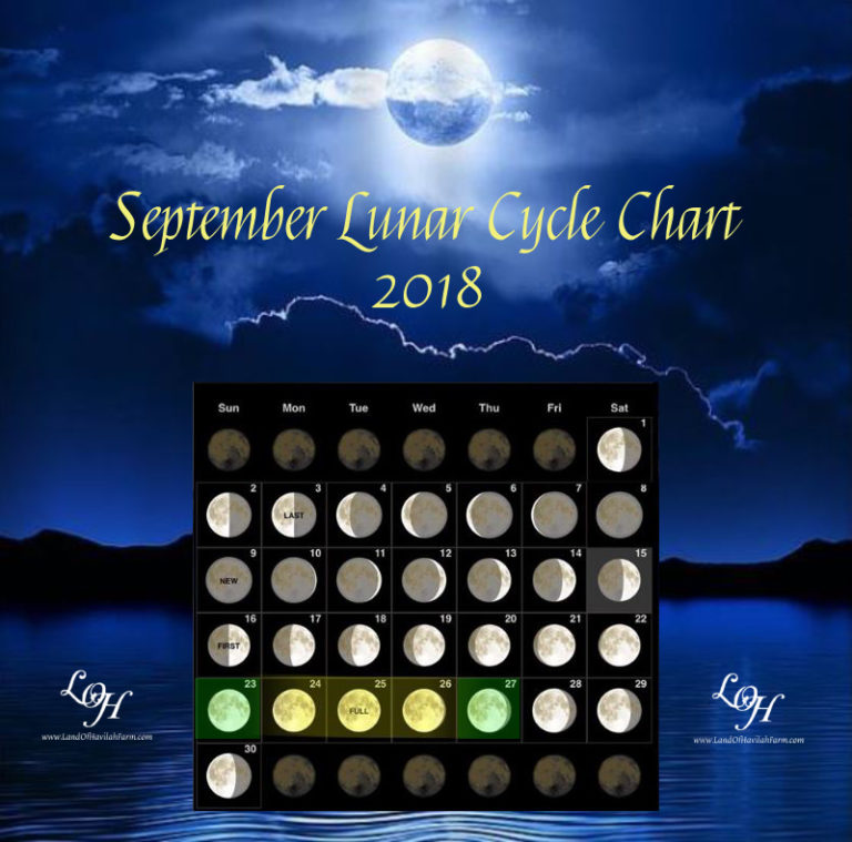 Parasites - Working with the Lunar Cycle